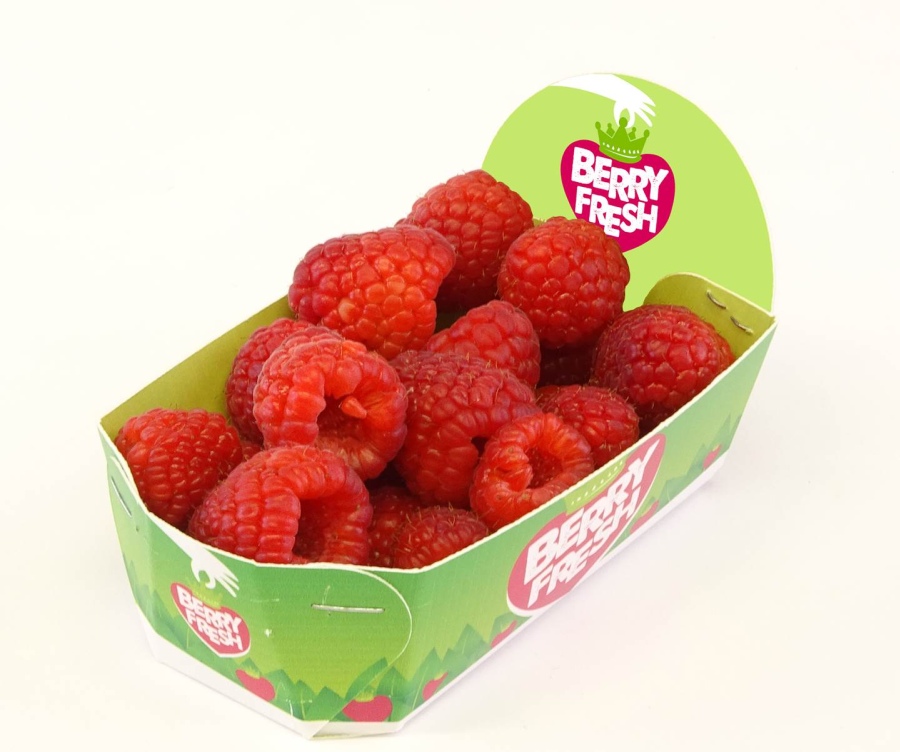 Raspberries - Assortment - Special Fruit
