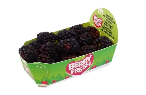 Blackberries - Assortment - Special Fruit