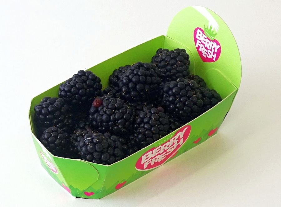 Blackberries - Assortment - Special Fruit