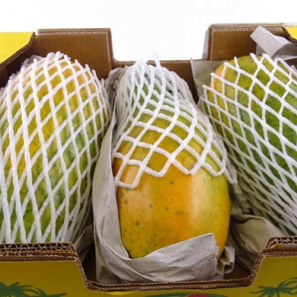 Papaya - Assortment - Special Fruit