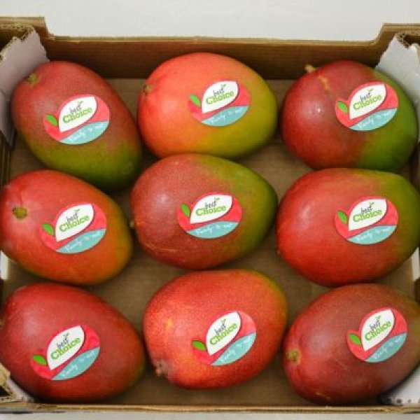 Mango - Assortment - Special Fruit
