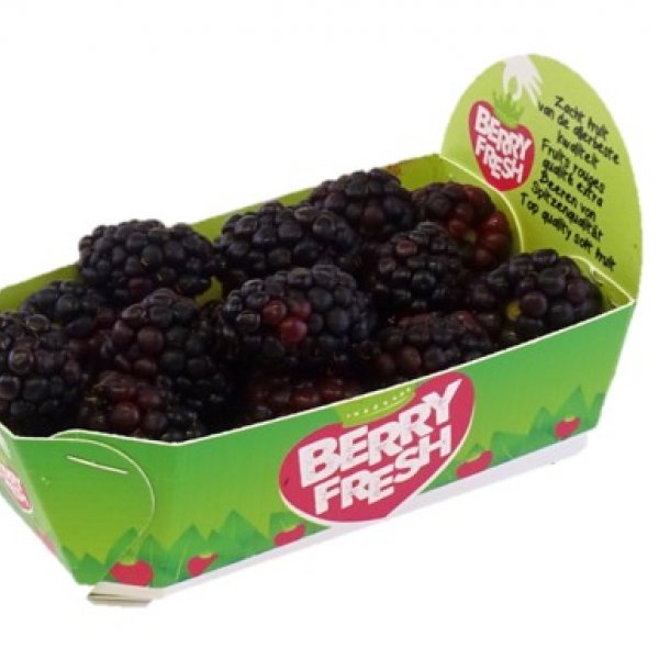 Blackberries - Assortment - Special Fruit