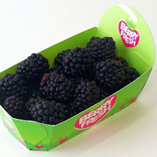 Blackberries - Assortment - Special Fruit