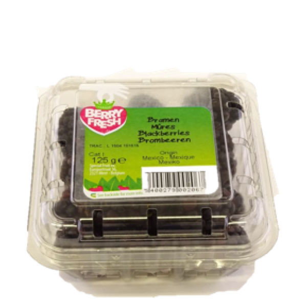 Blackberries - Assortment - Special Fruit