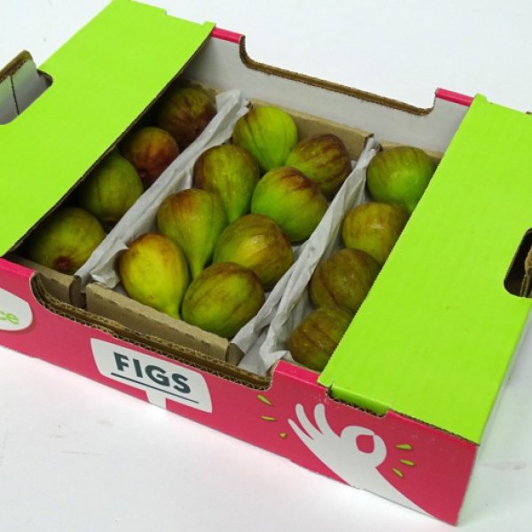 Fig - Assortment - Special Fruit