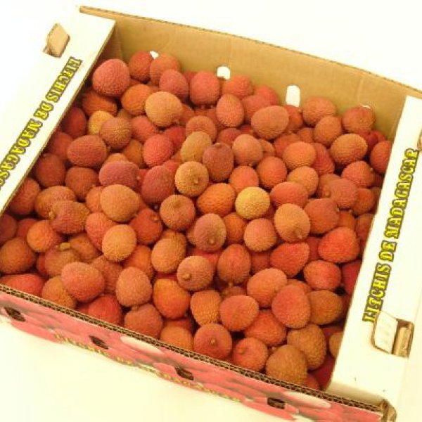 Lychee - Assortment - Special Fruit