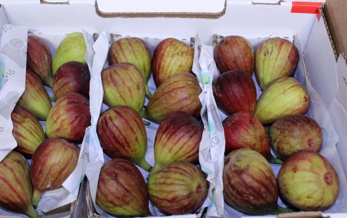 Higos - Selección - Special Fruit