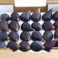 Importación de frutas y verduras exóticas de todo el...