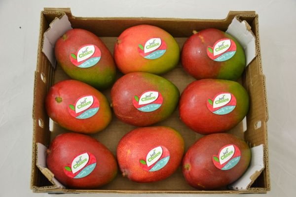 Mangue - Assortiment - Special Fruit