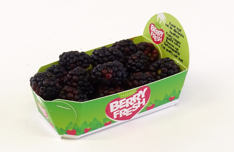 mûres - Assortiment - Special Fruit