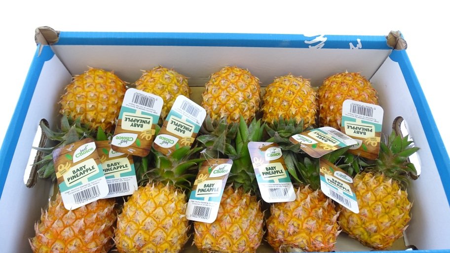 Ananas baby - Assortiment - Special Fruit