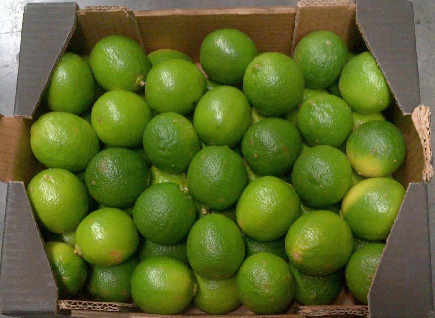 Citron vert - Assortiment - Special Fruit