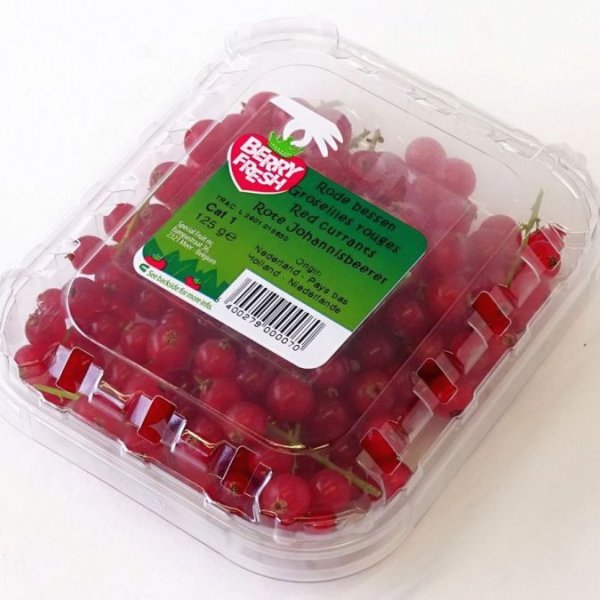 Groseilles rouges - Assortiment - Special Fruit